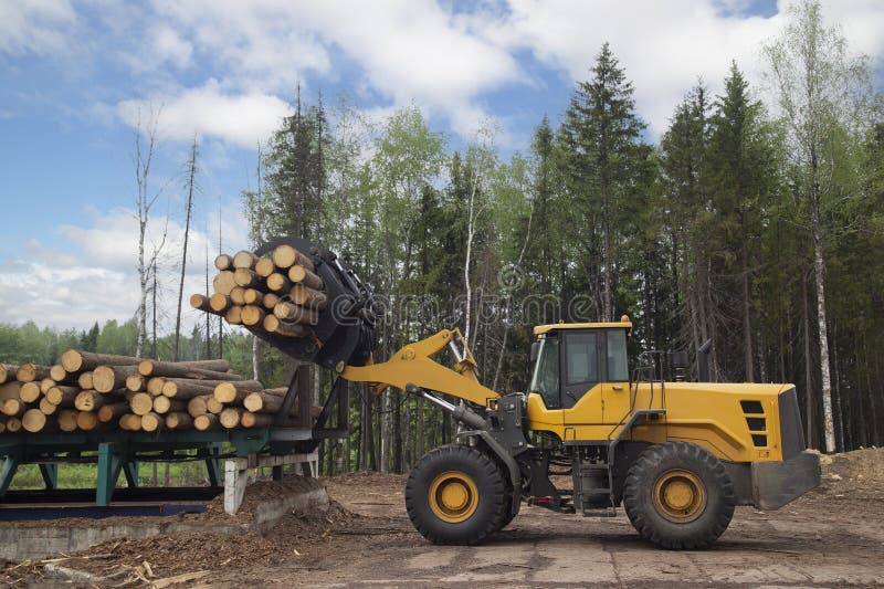 Loading Logs with a Special Loader.Timber Products Warehouse on a ...