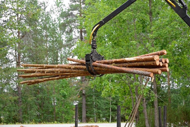 715 Timber Unloading Stock Photos - Free & Royalty-Free Stock Photos ...