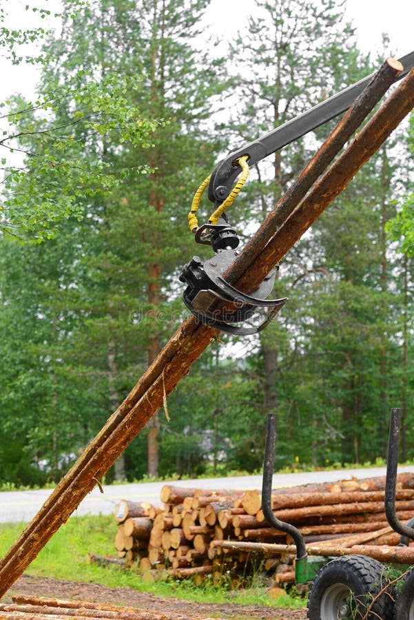 Loading of Logs on Transport Stock Photo - Image of preparation, plug ...