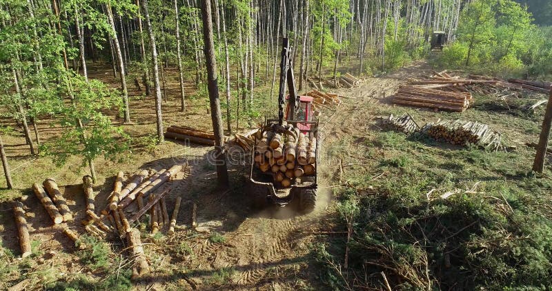 Loading Logs in the Truck, Loading Logs in the Forest, the Manipulator ...