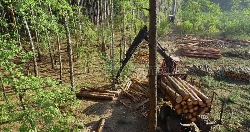 Loading Logs in the Truck, Loading Logs in the Forest, the Manipulator ...