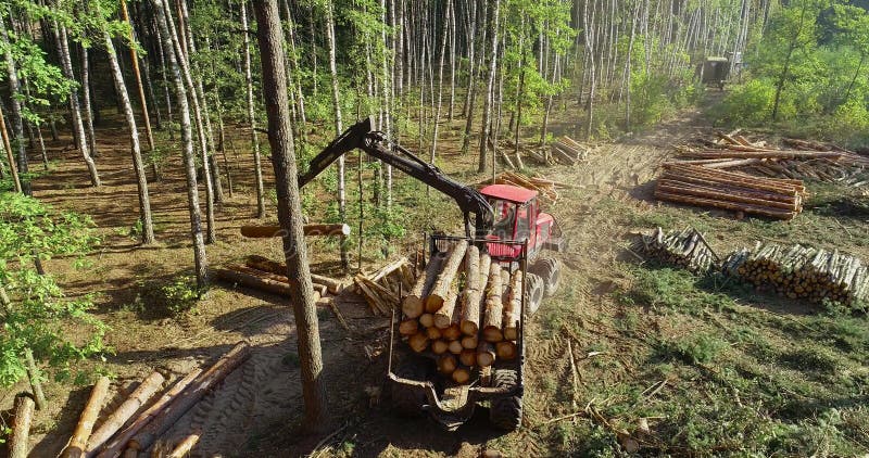 Timber Loading, Loading Logs into a Truck, Timber Processing ...