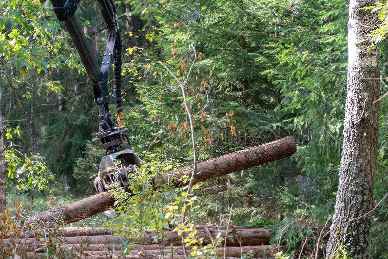 Loading Logs on a Truck Trailer Using a Tractor Loader with a Grab ...