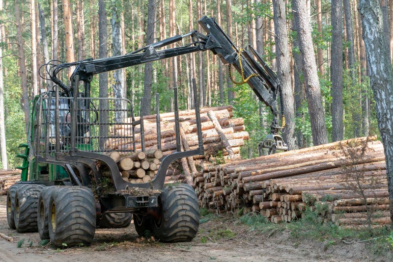 Loading Logs on a Truck Trailer Using a Tractor Loader with a Grab ...