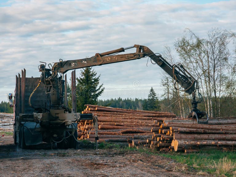 Loading Logs Using Hydraulic Machinery on Logging Truck Stock Photo ...