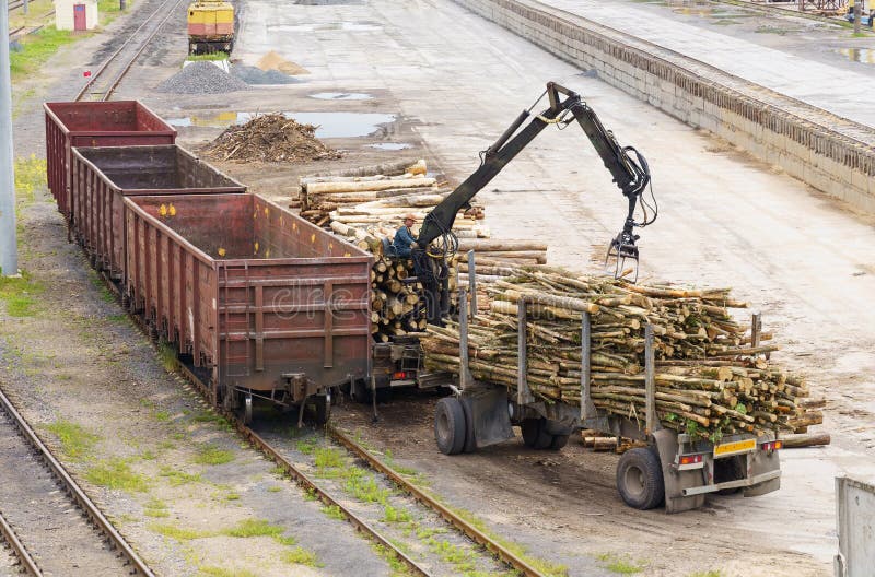Loading Lumber into Freight Train at Railway Yard during Daytime ...