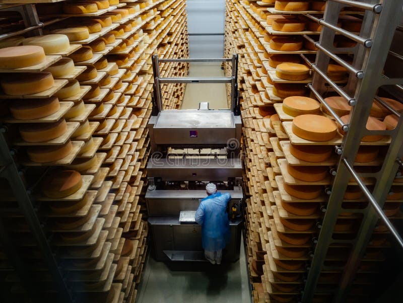 Loading Machine Working at Cheese Warehouse Stock Photo - Image of ...