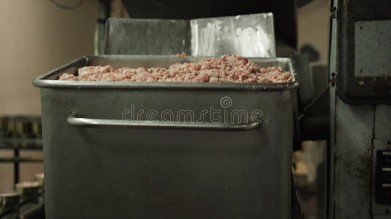 Loading Minced Meat into the Conveyor Line. Production of Canned Meat ...