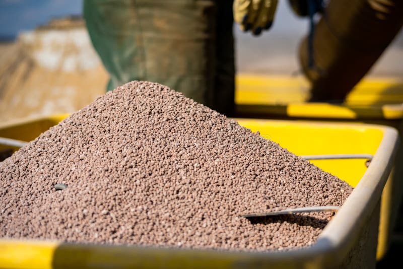 Loading of Mineral Fertilizer into the Hopper of the Sowing Unit Stock ...