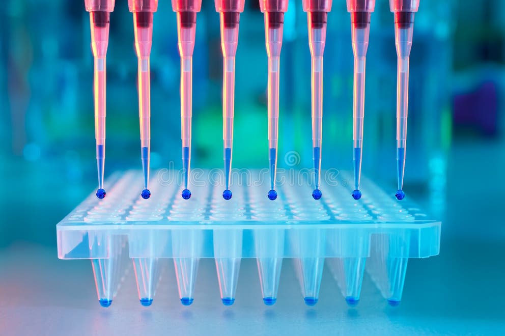 183 96 Well Plate Multichannel Pipette Stock Photos - Free & Royalty ...