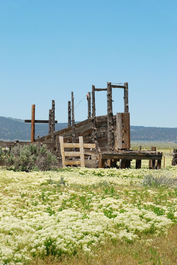 Loading Ramp stock image. Image of grass, livestock, countryside - 20466829