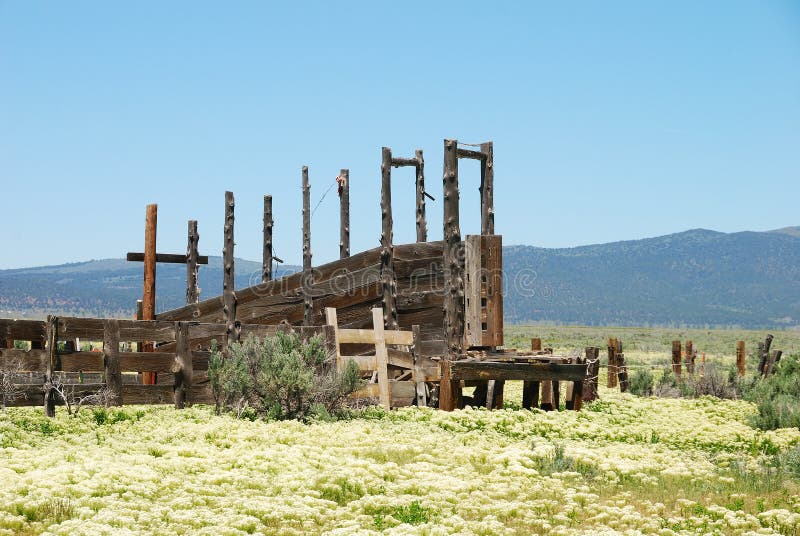 Loading Ramp stock image. Image of grass, livestock, countryside - 20466829