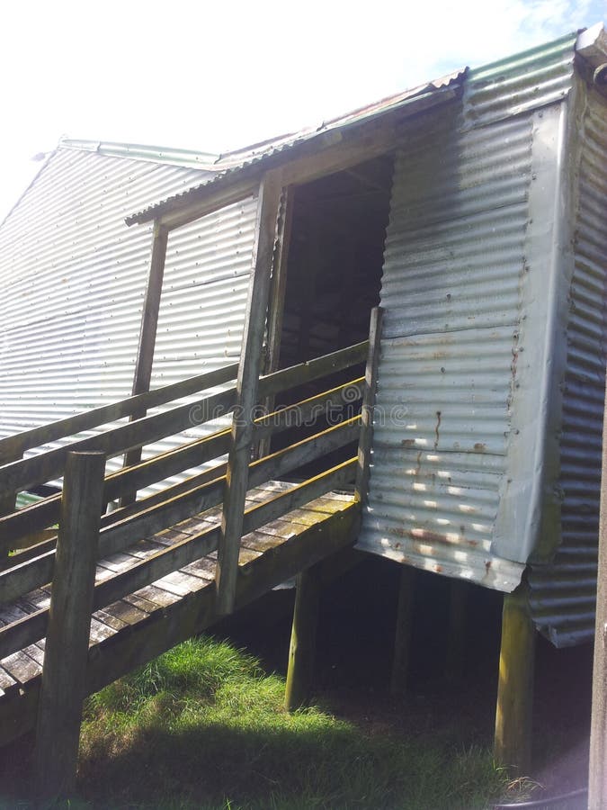 The Loading Ramp To the Wool Shed. Stock Image - Image of shearing ...