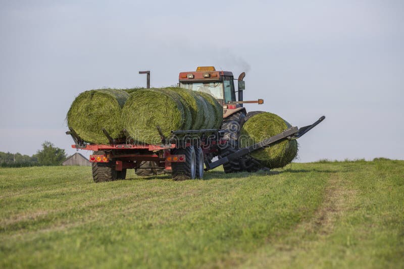 Loading and Moving Round Bales of Hay Using Auto Loader Trailer. Stock ...