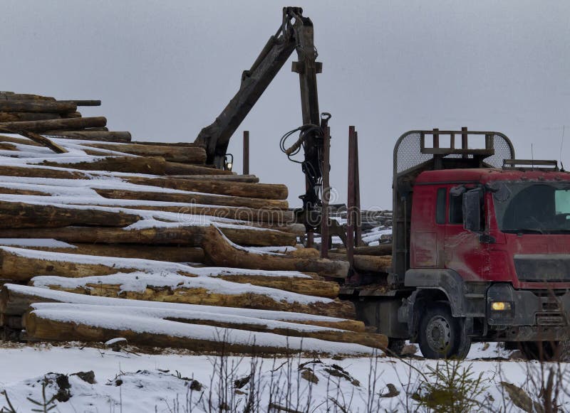 Loading of Roundwood on Timber Yard Stock Photo - Image of place, lorry ...
