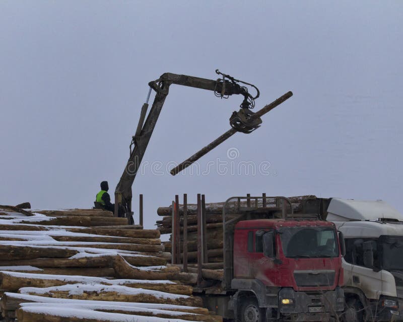 Loading of Roundwood on Timber Yard Stock Photo - Image of operations ...