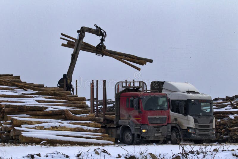 Loading of Roundwood on Timber Yard Stock Image - Image of track, site ...