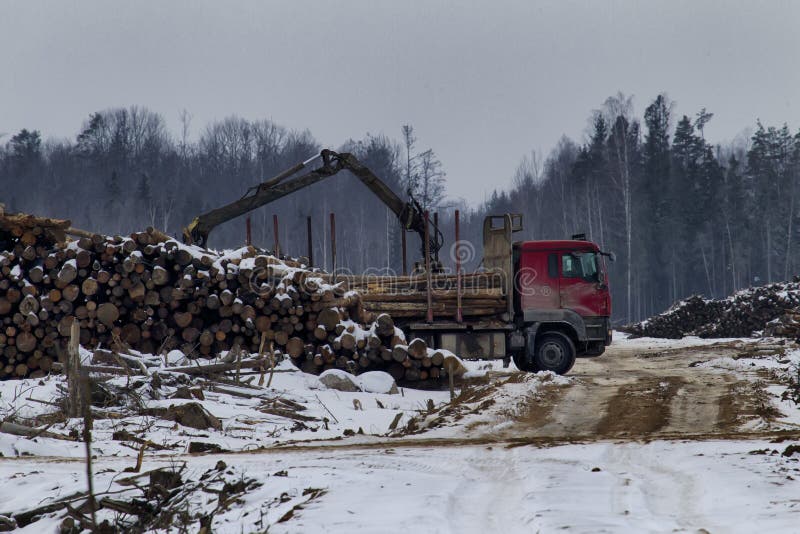 Loading of Roundwood on Timber Yard Stock Photo - Image of glade ...