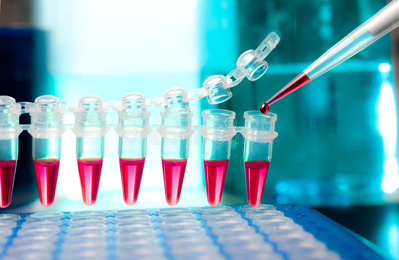 Loading Samples for DNA Amplification Stock Image - Image of closeup ...