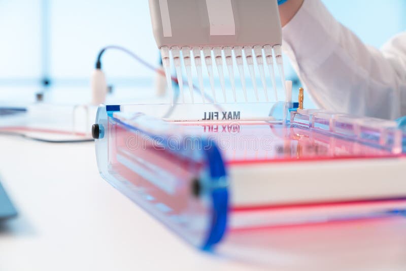 Loading Samples To Centrifuge Stock Image - Image of equipment ...