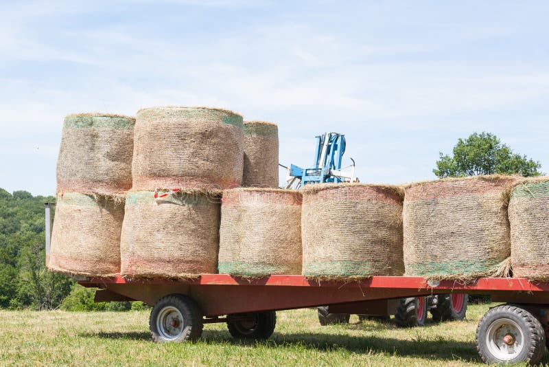 Stacking Hay Bales stock image. Image of dried, stacking - 20351513