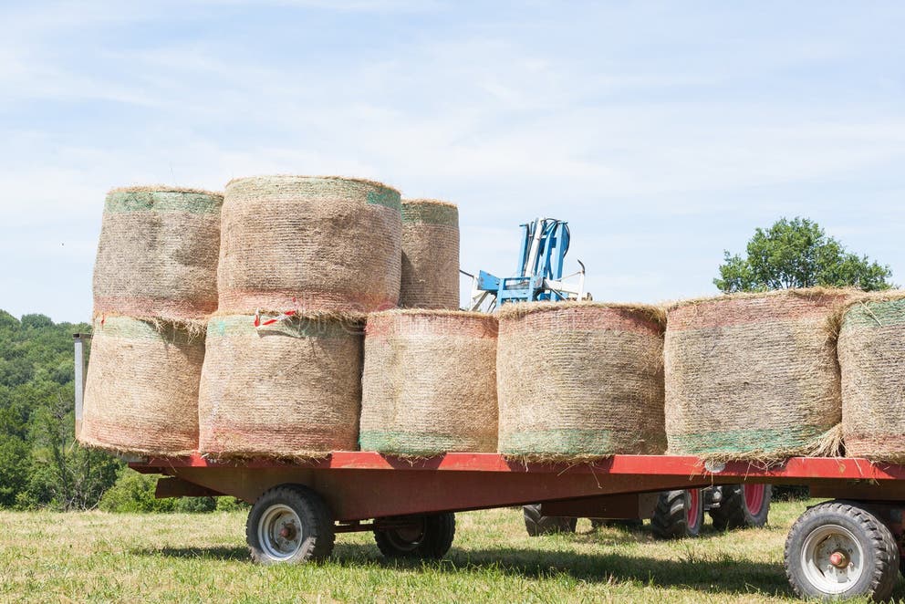 Loading and Stacking Round Hay Bales on a Trailer for Transport Stock ...