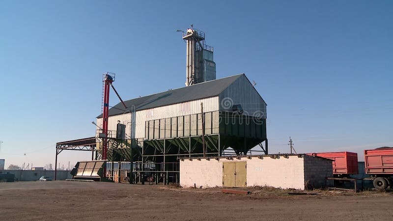 Loading grain into storage stock video. Video of harvester - 146476265