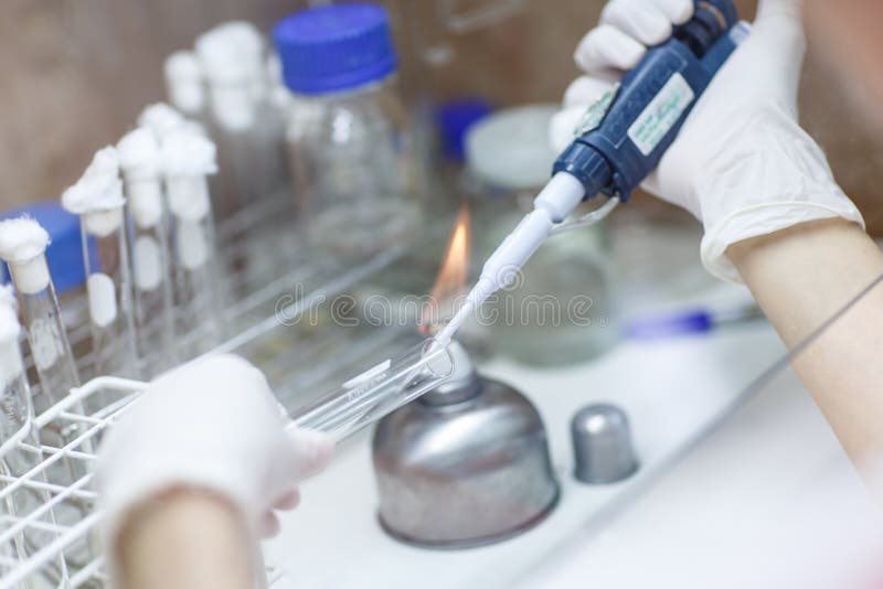 Loading Stripe of Samples for DNA Analysis Stock Image - Image of ...