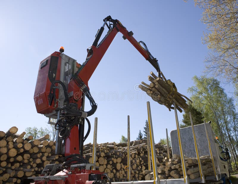 Loading of timber stock photo. Image of loader, sawmill - 99566966