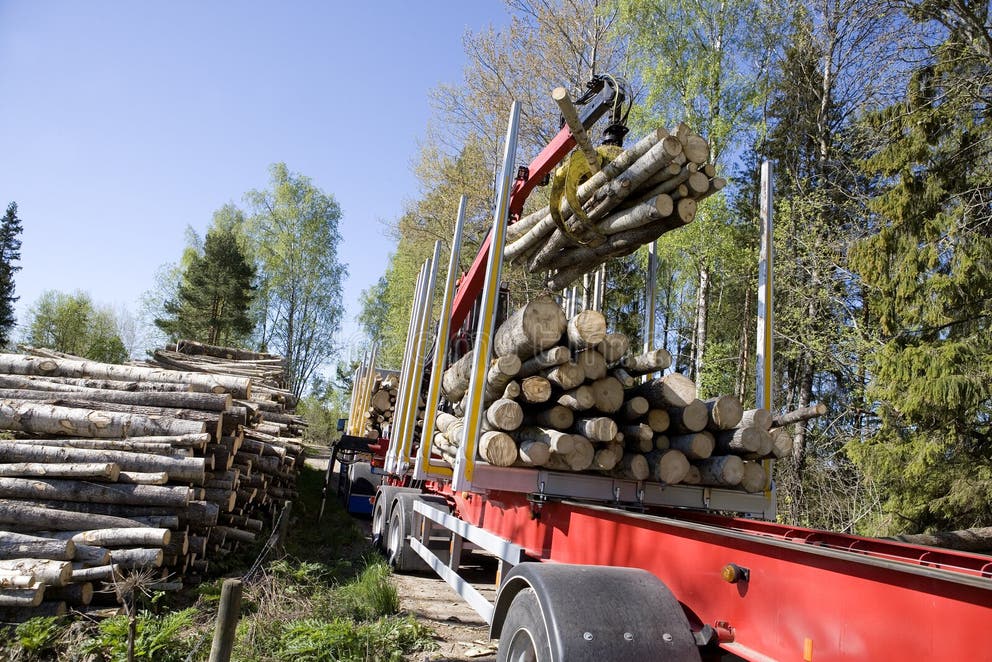 Loading Timber stock image. Image of redwood, wood, industry - 28061133