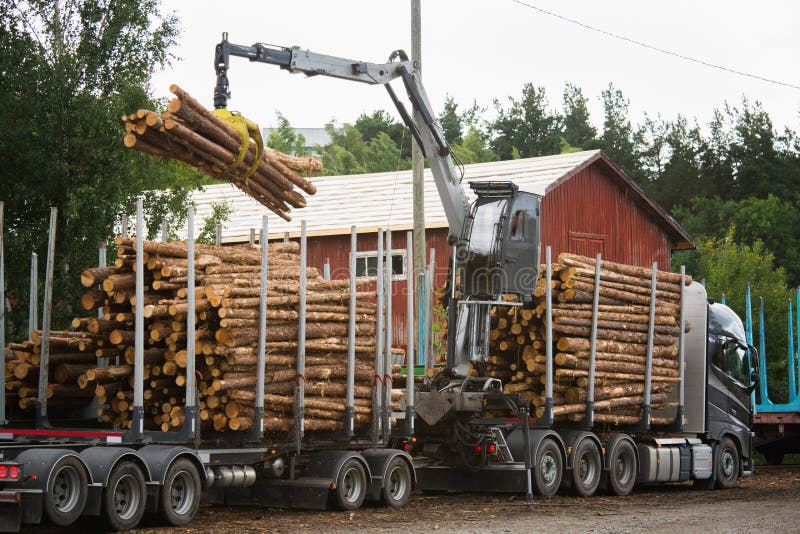 Loading of timber stock photo. Image of industrial, processing - 99566768