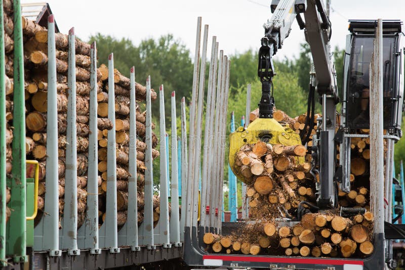 Loading of timber stock photo. Image of loader, sawmill - 99566966