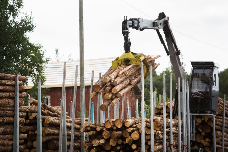 Loading of timber stock image. Image of logging, timber - 99567497