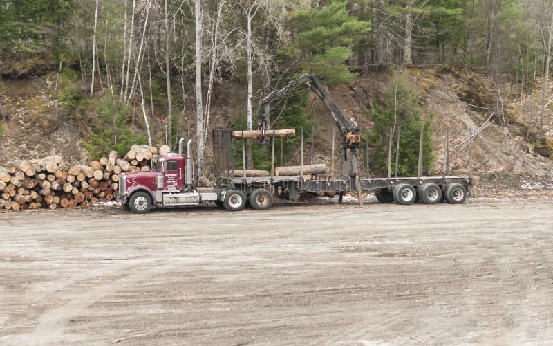 Loading timber stock image. Image of heavy, logs, truck - 95690679