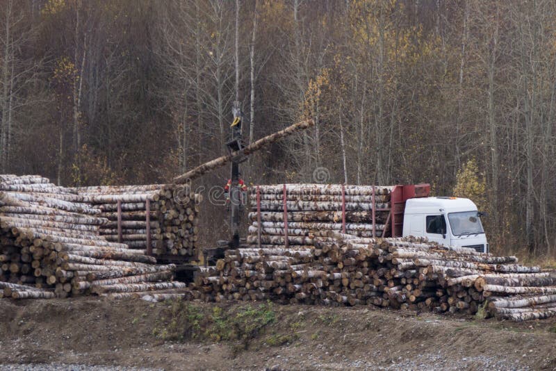 Loading of Timber on Railway Carriages. Loader in Work. Stock Image ...