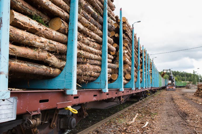Loading of timber stock photo. Image of loader, sawmill - 99566966