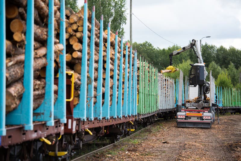 Loading of timber stock photo. Image of machinery, load - 99566618