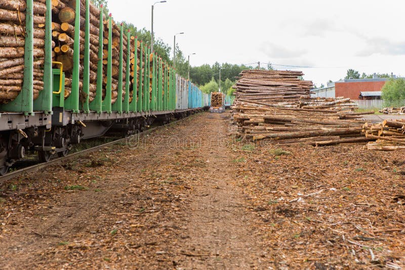 Loading of timber stock image. Image of stack, pile, processing - 99566841