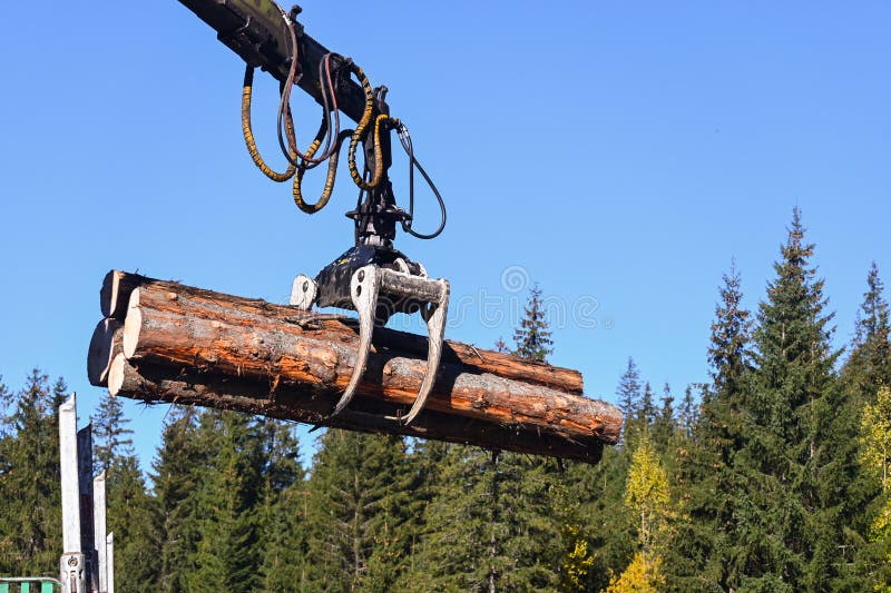 A Log Grabber Loads Logs for Transport Stock Image - Image of loading ...