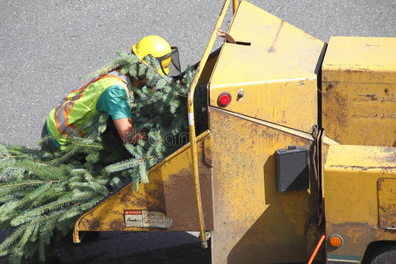 Loading Tree Branches into Wood Chipper Stock Photo - Image of ... Loading Tree Branches into Wood Chipper Stock Photo - Image of ...