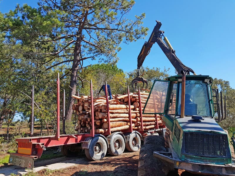 Loading a Truck Full of Tree Logs Stock Photo - Image of logs, heap ...