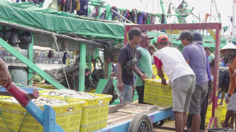 Loading and Unloading Activities and Weighing and Selling Marine ...