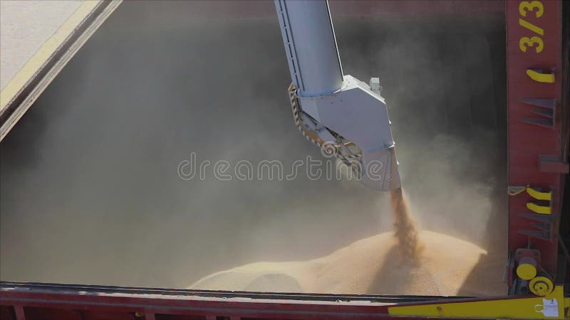 Loading Wheat into a Cargo Ship for Transportation by Sea. the Ship is ...