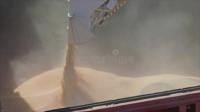 Loading Wheat into a Tanker, a Ship with Wheat. Loading Grain into a ...