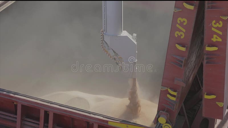 Loading Wheat into a Cargo Ship for Transportation by Sea. the Ship is ...