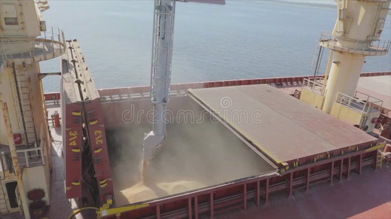 Loading Grain into a Cargo Ship for Transportation by Sea. the Ship is ...