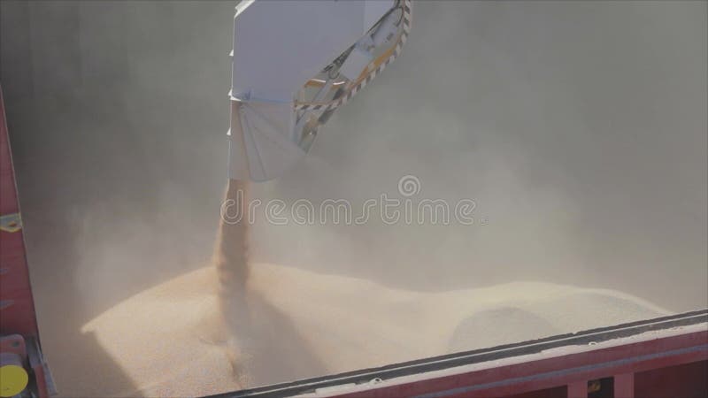 Loading Wheat into a Cargo Ship for Transportation by Sea. the Ship is ...