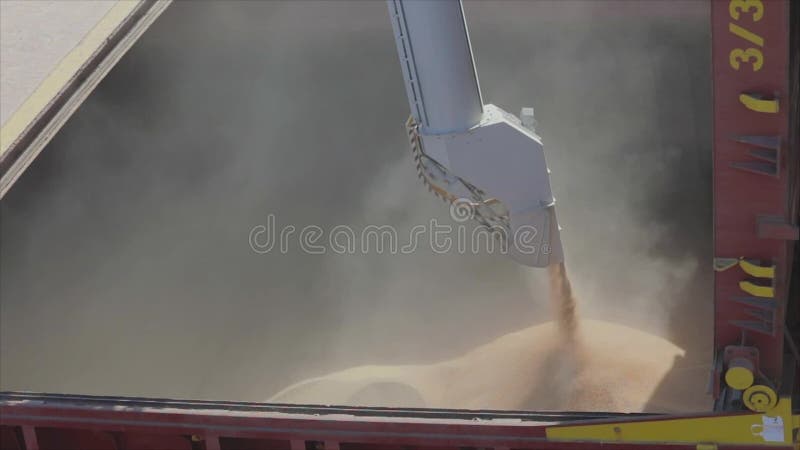 Loading Wheat into a Tanker, a Ship with Wheat. Loading Grain into a ...