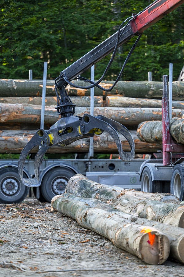Loading Wood Onto a Truck in the Forest Stock Photo - Image of resource ...