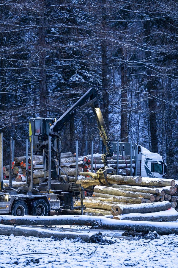 Loading Wood Onto a Truck in the Forest in Winter Stock Image - Image ...